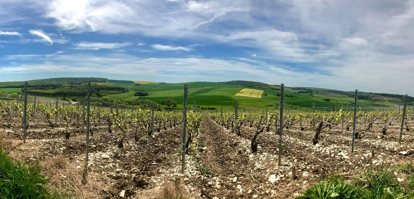 Champagnes Devitry Reims, Champagne Reims, Champagne Troyes, Maison ...